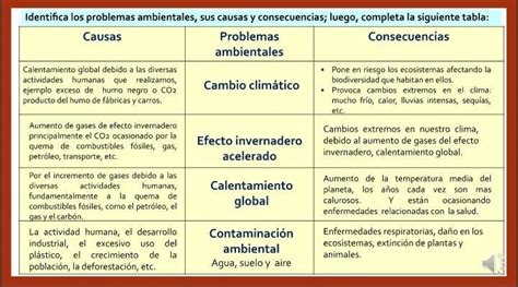 Identifica Los Problemas Ambientales Causas Y Consecuencias Y Completa