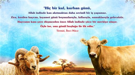 Bayram Mesajlar Anlaml Dual K Sa Komik Resimli Kurban