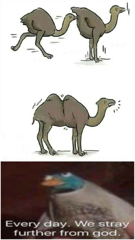 SHYYTPOSTERS MENES em 2024 Imagens hilárias Memes engraçados