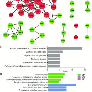 Protein Protein Interaction Ppi Networks From Differentially
