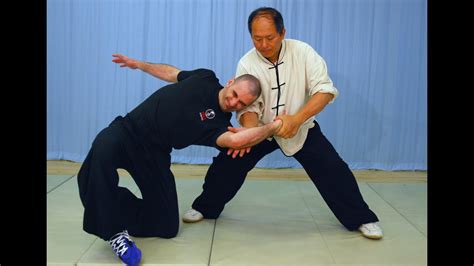 tai chi 24 sektionen mit erklärungen