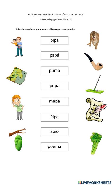 Lectura M Y P Interactive Worksheet Actividades De Aprendizaje