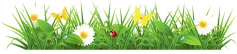 Grass Ground With Flowers Clipart Picture Spring Clipart Spring