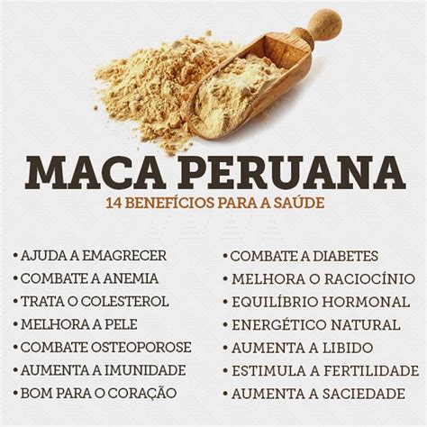 Maca Peruana em pó 1 Kg Ingrediente Shop