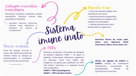 Mapa Mental Imunidade Inata E Adaptativa Librain