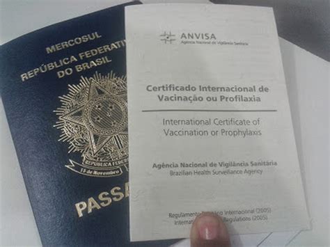 Mais de 6 5 mil certificados internacionais de vacina são emitidos no