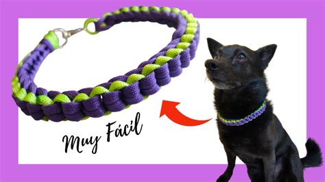 Diy C Mo Hacer Collares De Perro Muy F Cil Paso A Paso Youtube