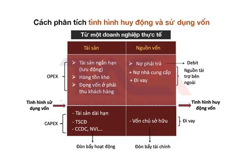 Cập nhật với hơn 75 về mô hình đồng hồ chỉ giờ đúng coedo vn