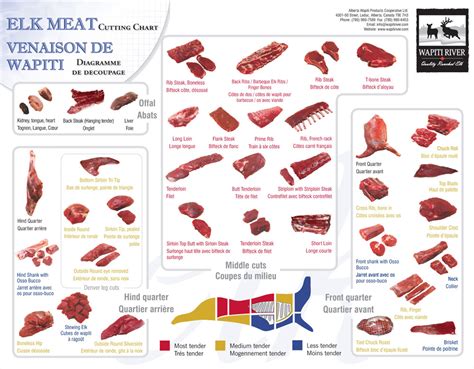 Elk Meat Diagram