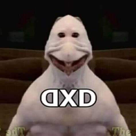 Dxd Maddy The Pitbull Perro Xd Know Your Meme