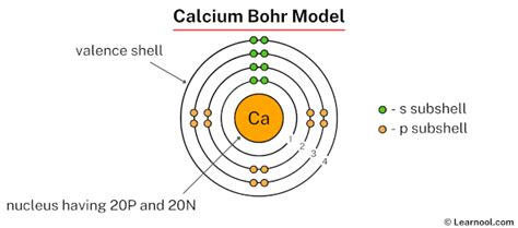 Bohr Model Diagram Calcium Using Atomic 20 Of N 20 Electron