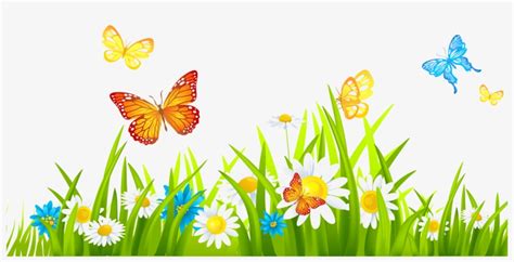 Grass Flower Png