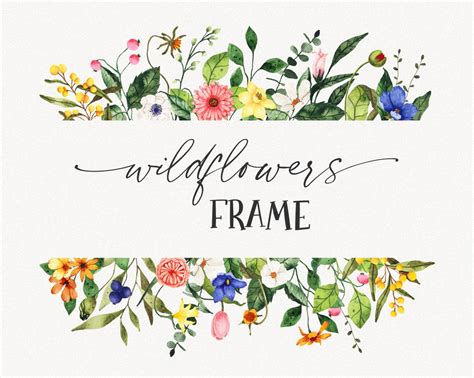 Calligraphy Flower Borders