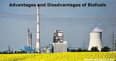 What Are The Advantages And Disadvantages Of Biofuels
