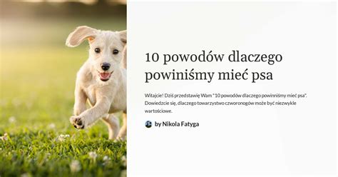10 powodów dlaczego powiniśmy mieć psa