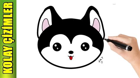 KOLAY KÖPEK KAFASI ÇİZİMİ KÖPEK NASIL ÇİZİLİR KOLAY ÇİZİMLER YouTube