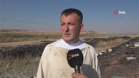 Kahramanmaraşta 150 Arı Kovanı Yandı İzlesene