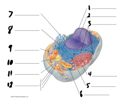 Biology Semester Final Progress Checks Flashcards Quizlet