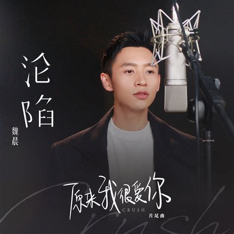 魏晨献唱原来我很爱你片尾曲沦陷 音画联动浪漫上线 哔哩哔哩