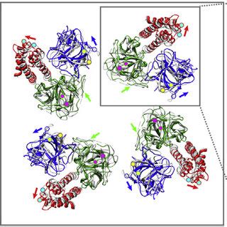 Molecular Dynamics Flexible Fitting Of The Crystal Structure Of Abc