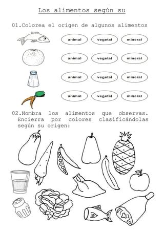 Sesion Alimentos Segun Su Origen Pdf