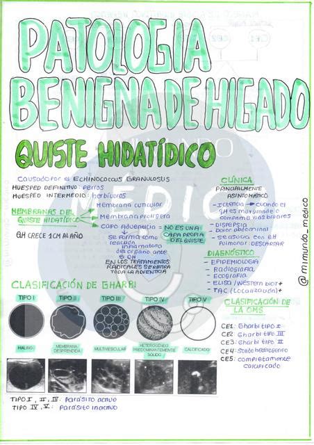 PATOLOGÍA BENIGNA DE HÍGADO Yoshie Suga Chang uDocz