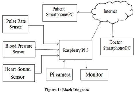 health monitoring system using raspberry pi and iot oriental journal of computer science and