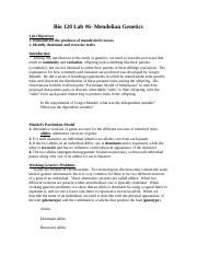 Lab Mendelian Genetics Docx Bio Lab Mendelian Genetics