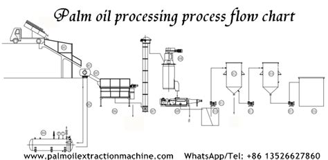 What Is The Most Important Step In The Production Process Of Palm Oil