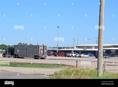 Cattle Hauler Hi Res Stock Photography And Images Alamy