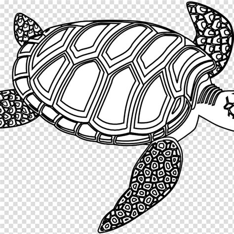 Sea Turtle Reptile Clip Art PNG 2400x1800px Turtle Cartoon Clip