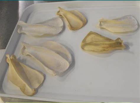 Forelimb Anatomy Practical Flashcards Quizlet