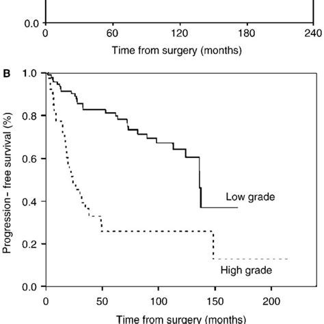A Kaplan Meier Progression Free Survival Curve For The Entire
