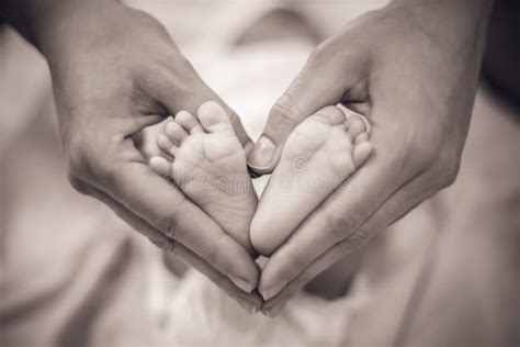 Newborn Baby Feet In Its Mother S Hands Shaped Like A Heart Mother