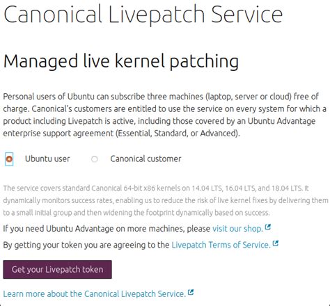 comment utiliser le service livepatch de canonical sur ubuntu moyens i o