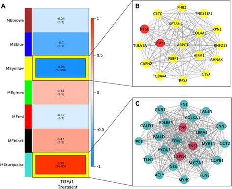 Weighted Gene Co Expression Network Analysis Of Proteomic Data
