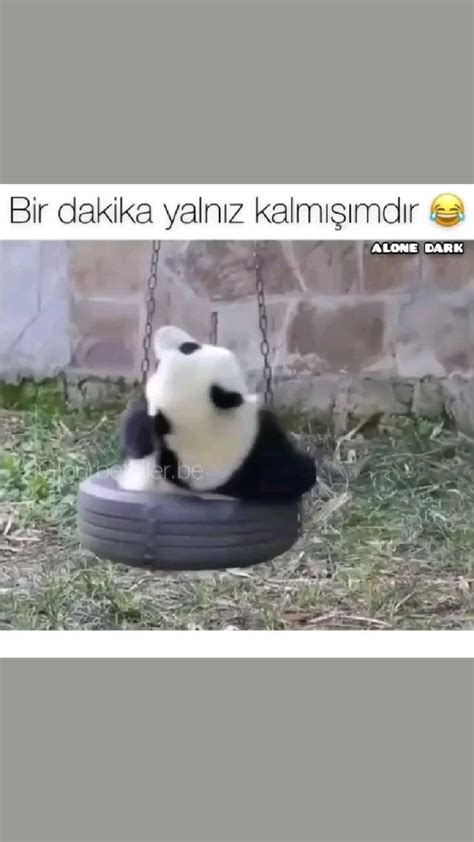 BAB I NUR adlı kullanıcının Idea Pins by you panosundaki Pin