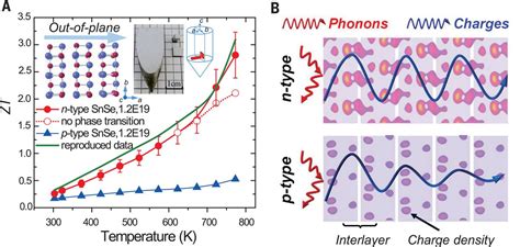3D Charge And 2D Phonon Transports Leading To High Out Of Plane ZT In N