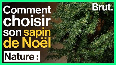 Tuto Comment Choisir Son Sapin De No L La Gay Life
