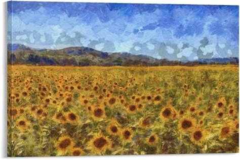 Van Gogh Field Of Sunflowers