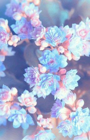 Smeraldo Flower Home Alqu