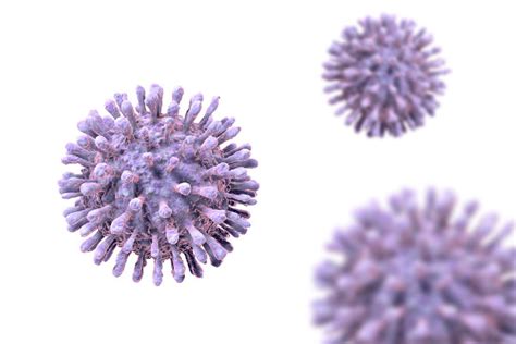 Retrovírus o que são e o que causam exemplos Biologia Net