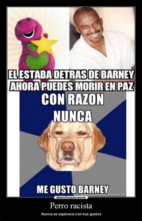 Perro Racista Meme