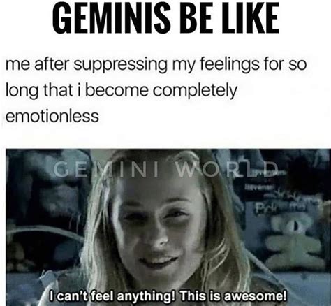 Gemini Zodiac Sign Astrology Meme Joke Zodiac Memes