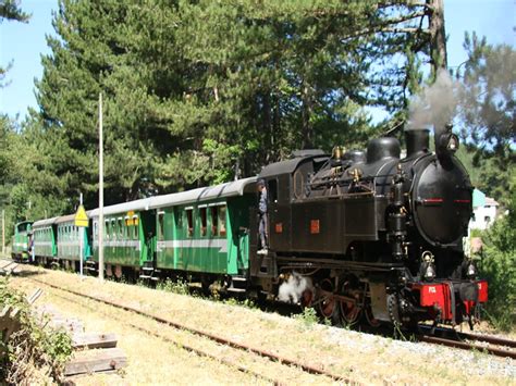 Treno Della Sila Carrozze Dedicate A Ognuna Delle Cinque Province