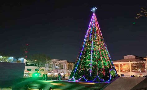 Sabes Cu L Es El Origen Del Rbol De Navidad