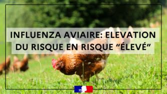 Influenza aviaire Élévation du niveau de risque en risque élevé