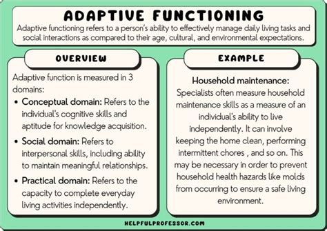 Adaptive Functioning Definition And Examples 2024