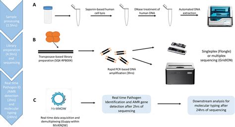 Schematic Workflow Representing The Main Steps Of The CMg Workflow A