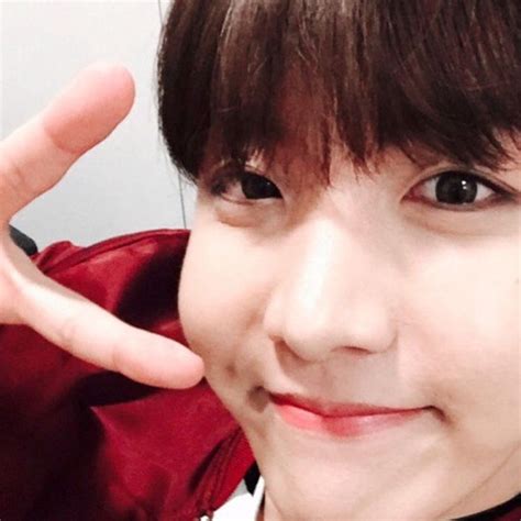 Bts Jhope Hobi Tiny Icon Jimin Jungkook Yoongi Taehyung Jung Hoseok